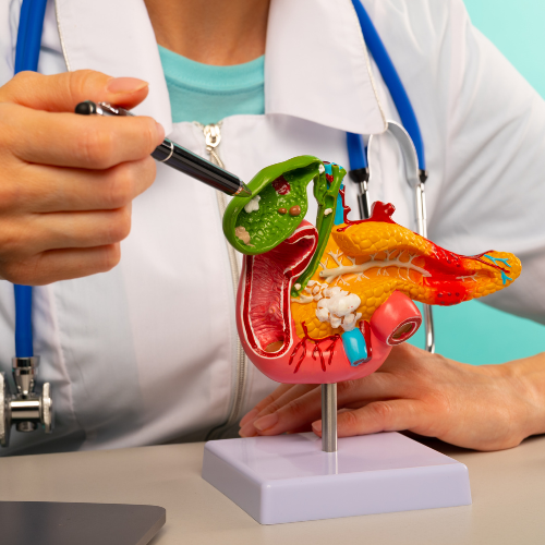 Epehólyag rák-GasztroKözpont